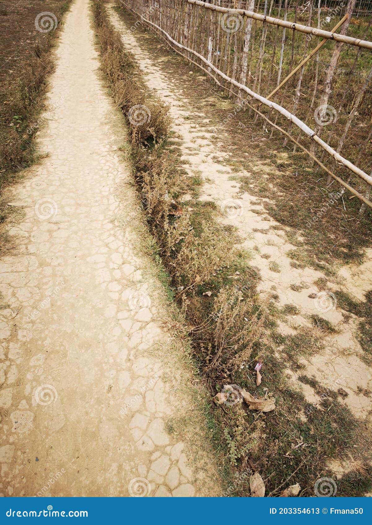 A pathway in a farm stock image. Image of grass, nature - 203354613