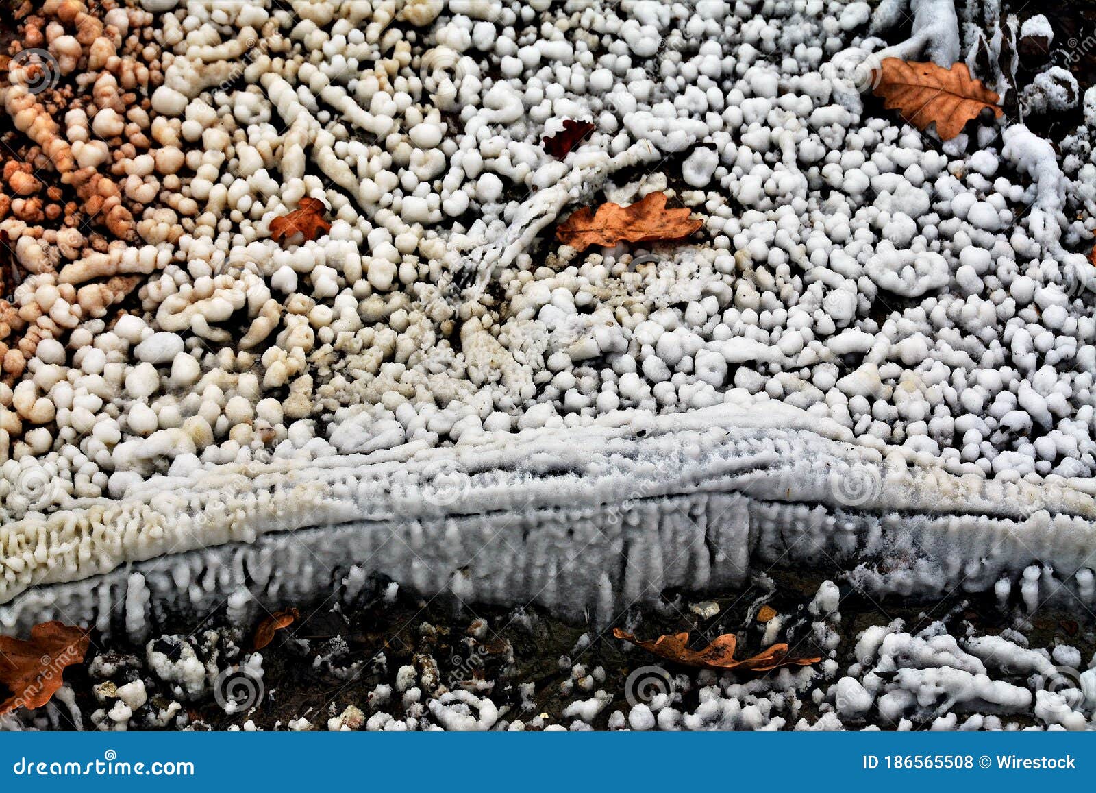 Picture of Crystallized Salt on the Ground Stock Photo - Image of stone ...