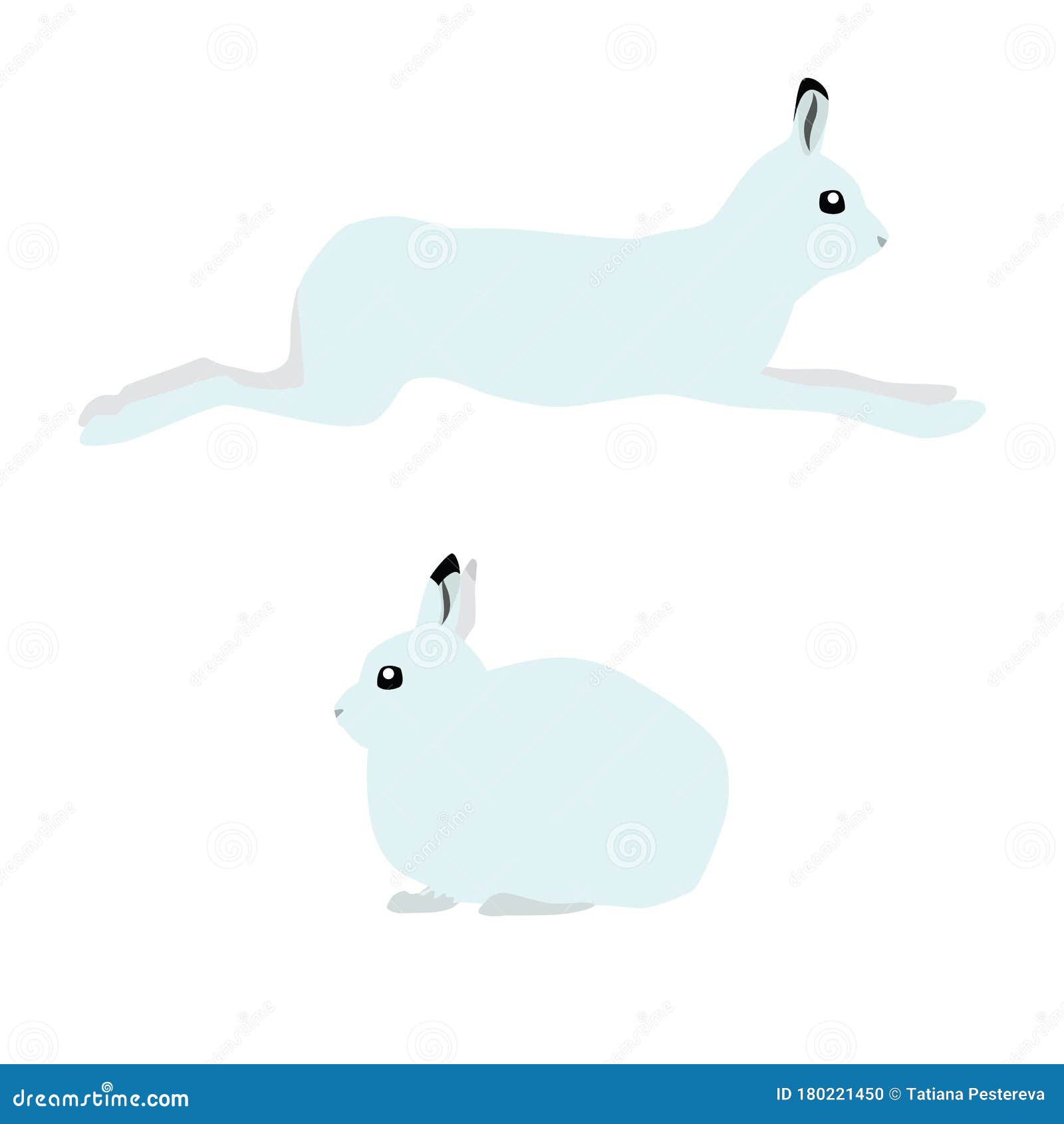 Set of two hares stock vector. Illustration of character - 180221450