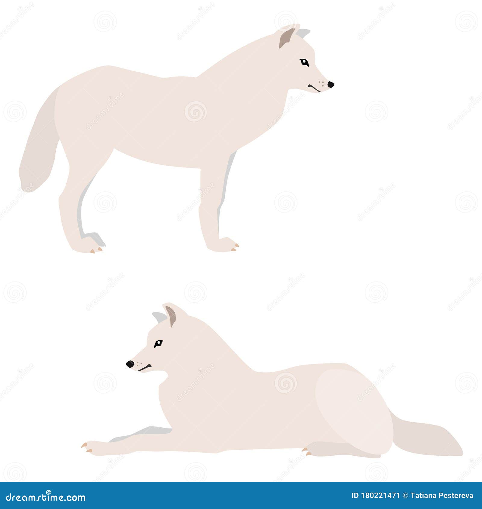 Two arctic wolves stock vector. Illustration of realistic - 180221471