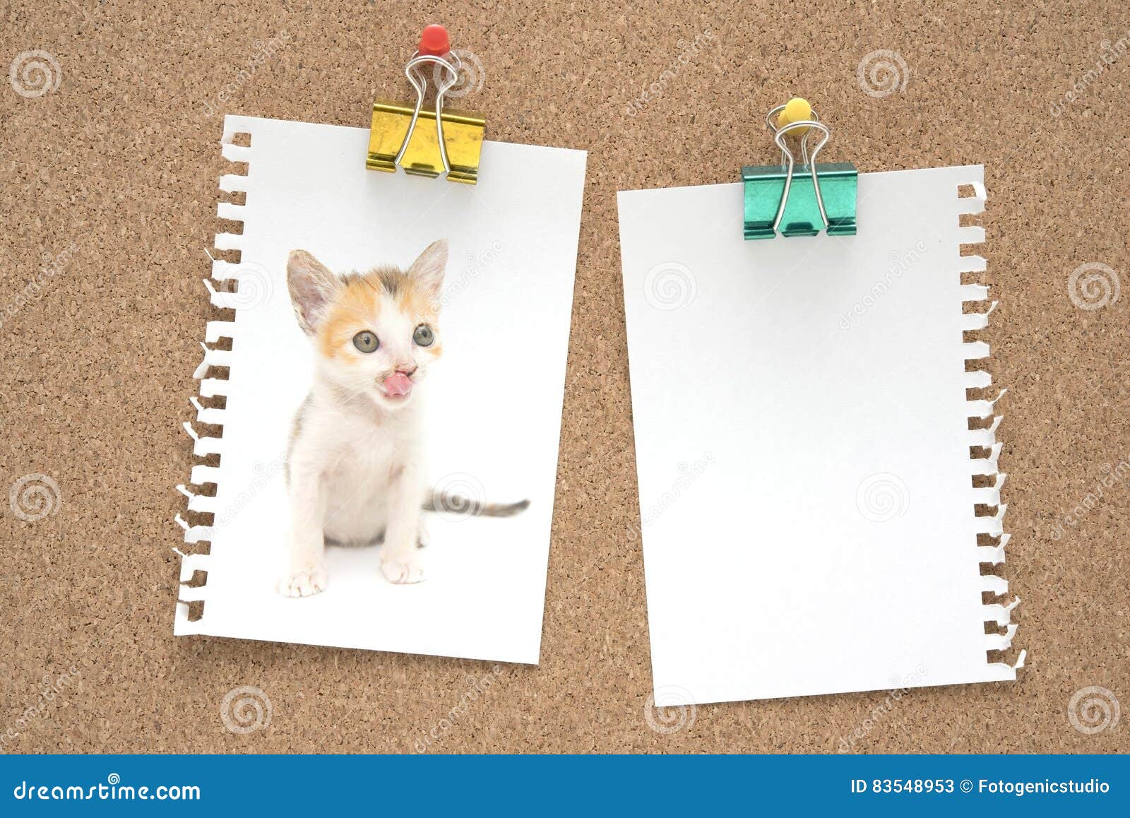 Picture of Cute Cat on Note Paper Stock Image - Image of kitty, board ...