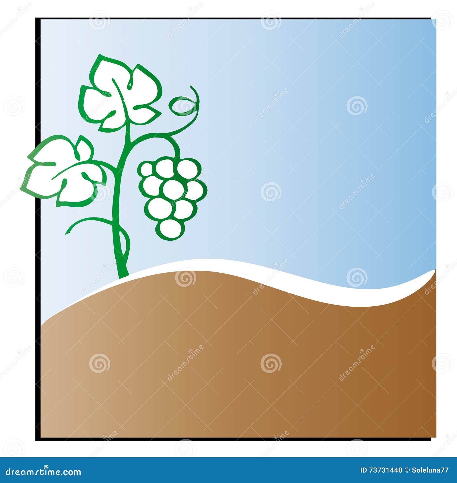 Picture of a Field of Grapes Stock Vector - Illustration of vintage ...