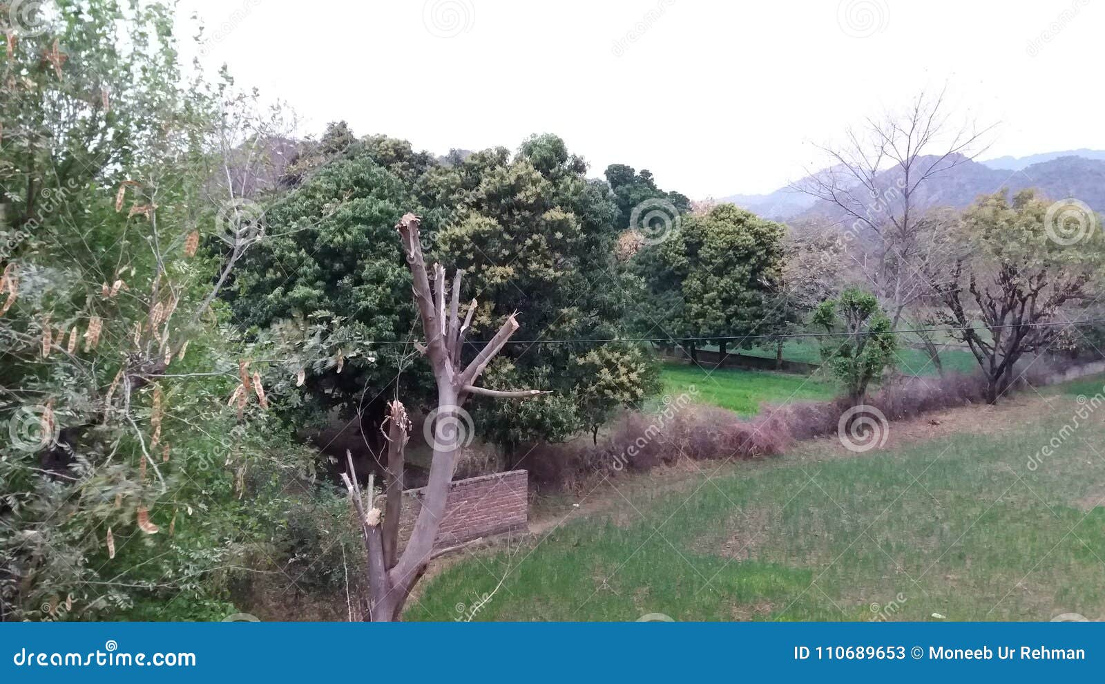 A picture of fields stock image. Image of fields, great - 110689653