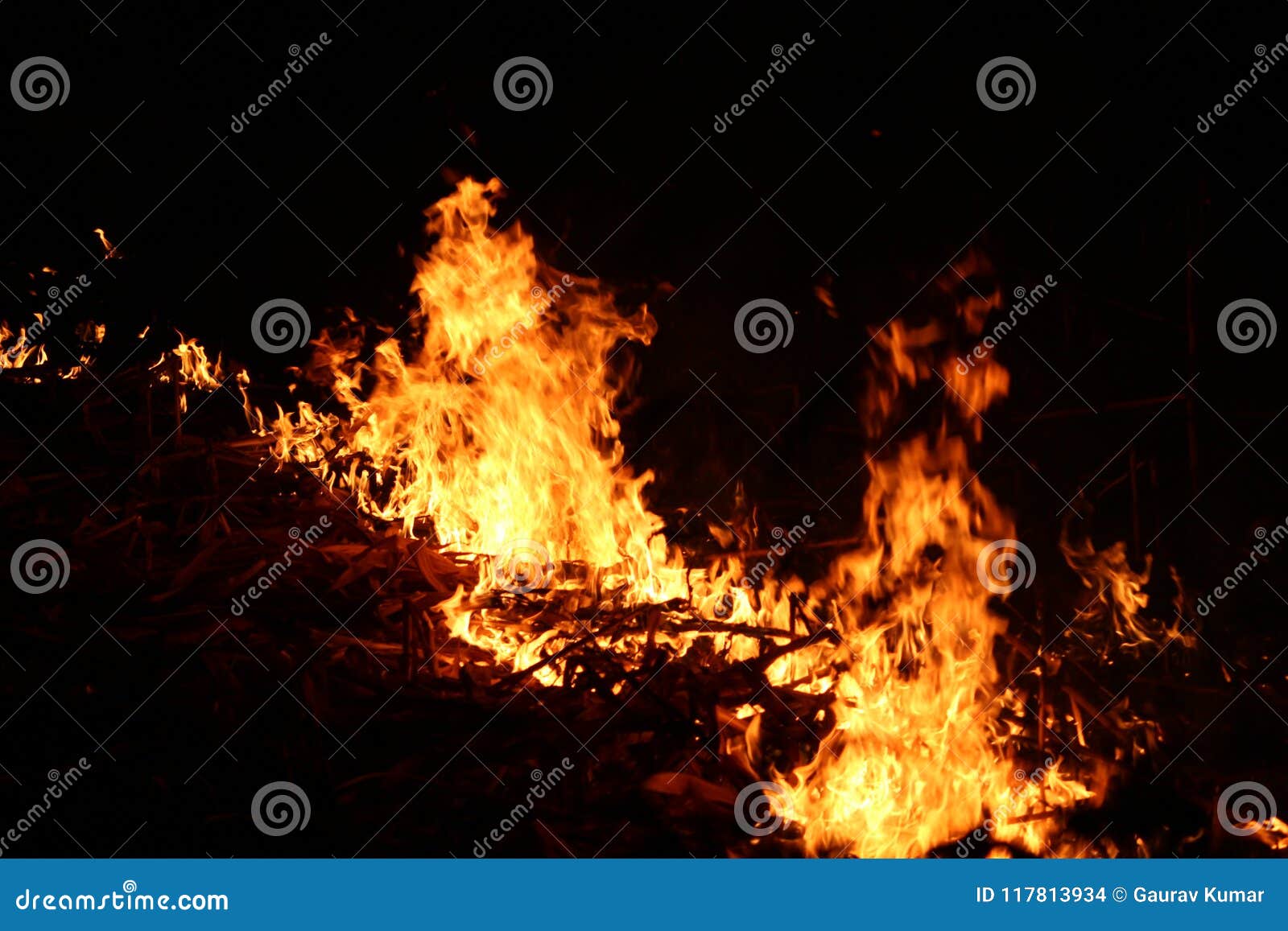 Fire in Field for Burn Grains Stock Photo - Image of craps, remaining ...