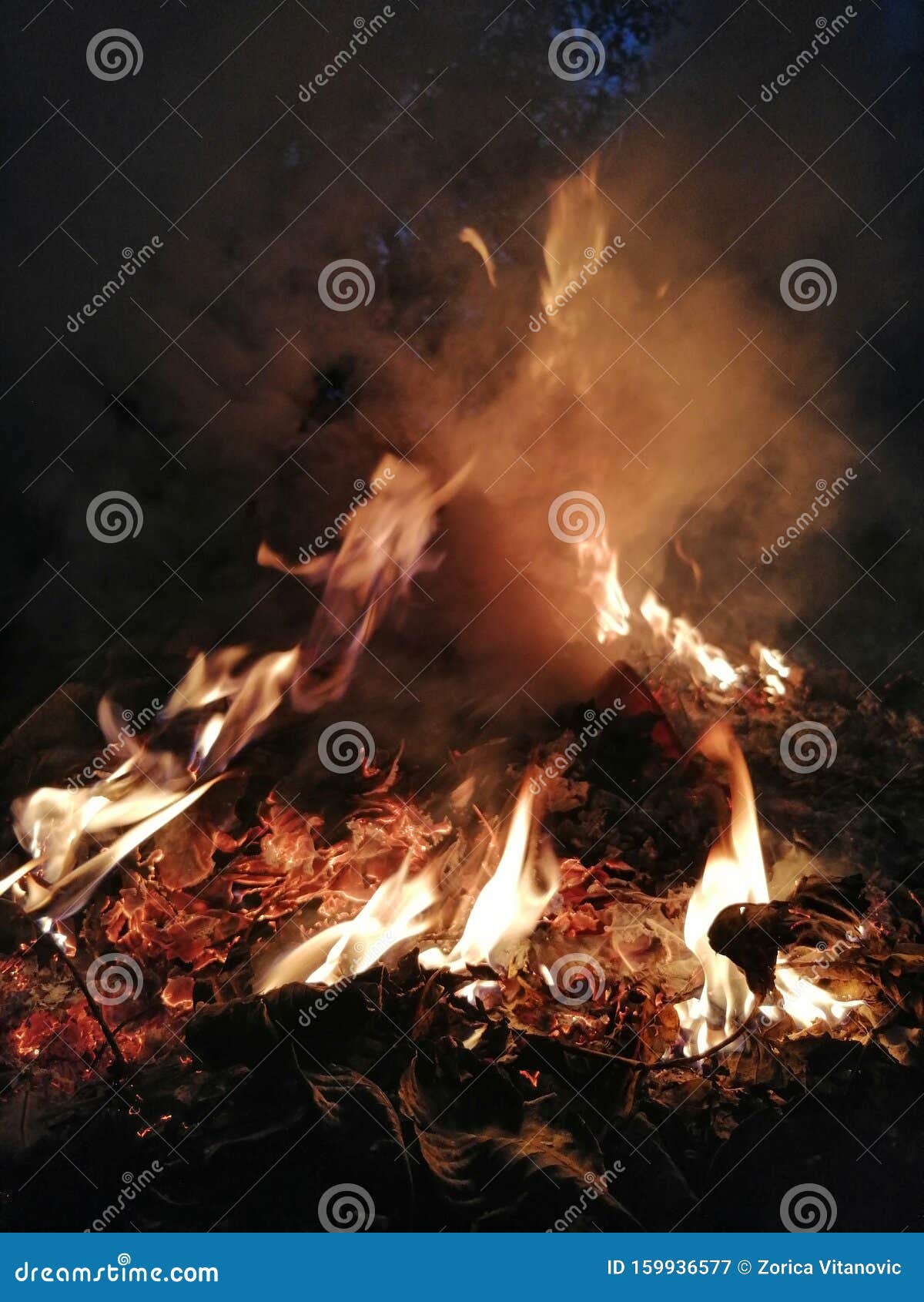 Fire in nature stock image. Image of fire, ozon, nature - 159936577