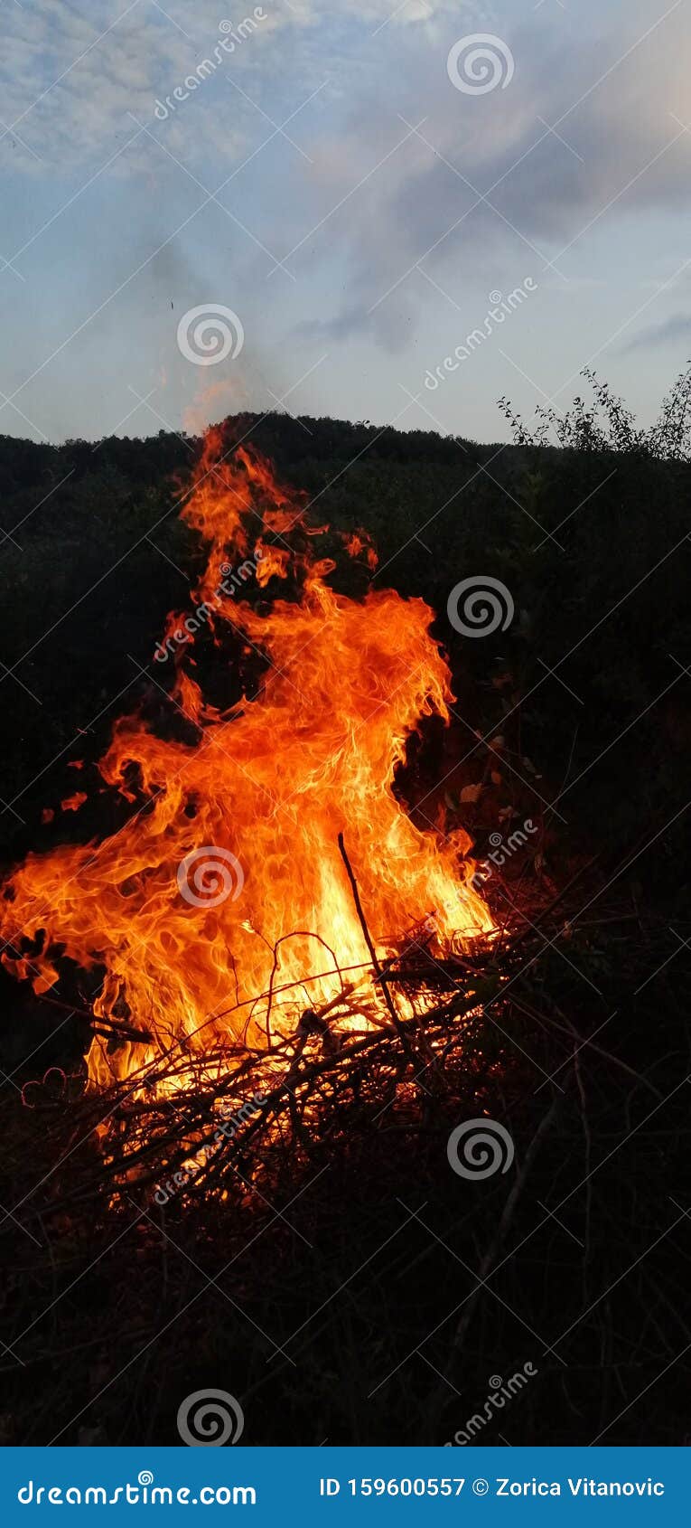 Fire in nature stock image. Image of forest, blue, land - 159600557