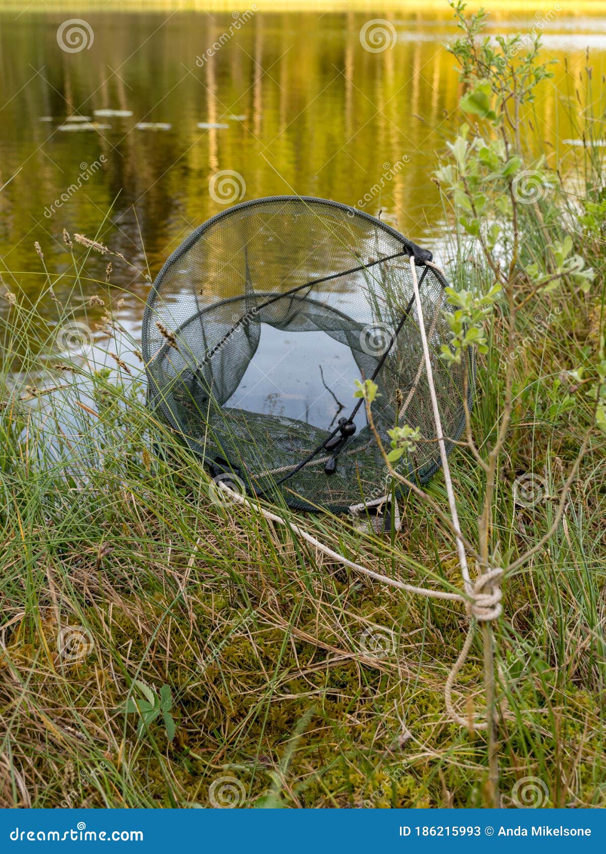Picture with a Fish Storage Net on the Lake Shore Stock Image - Image ...