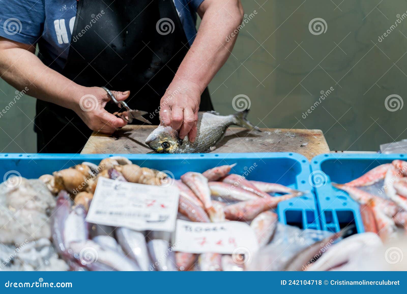 Fishmonger Hands Cleaning Fish in Her Fish Shop. Stock Photo - Image of ...