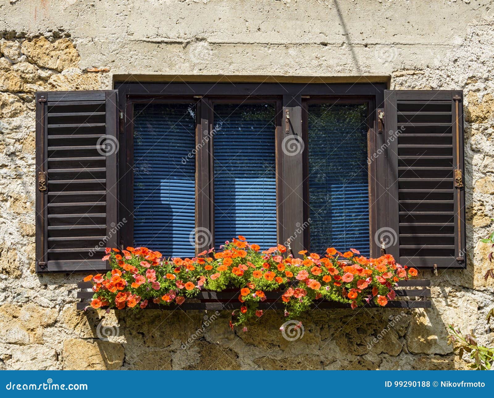 Flowered window stock photo. Image of plant, residential - 99290188