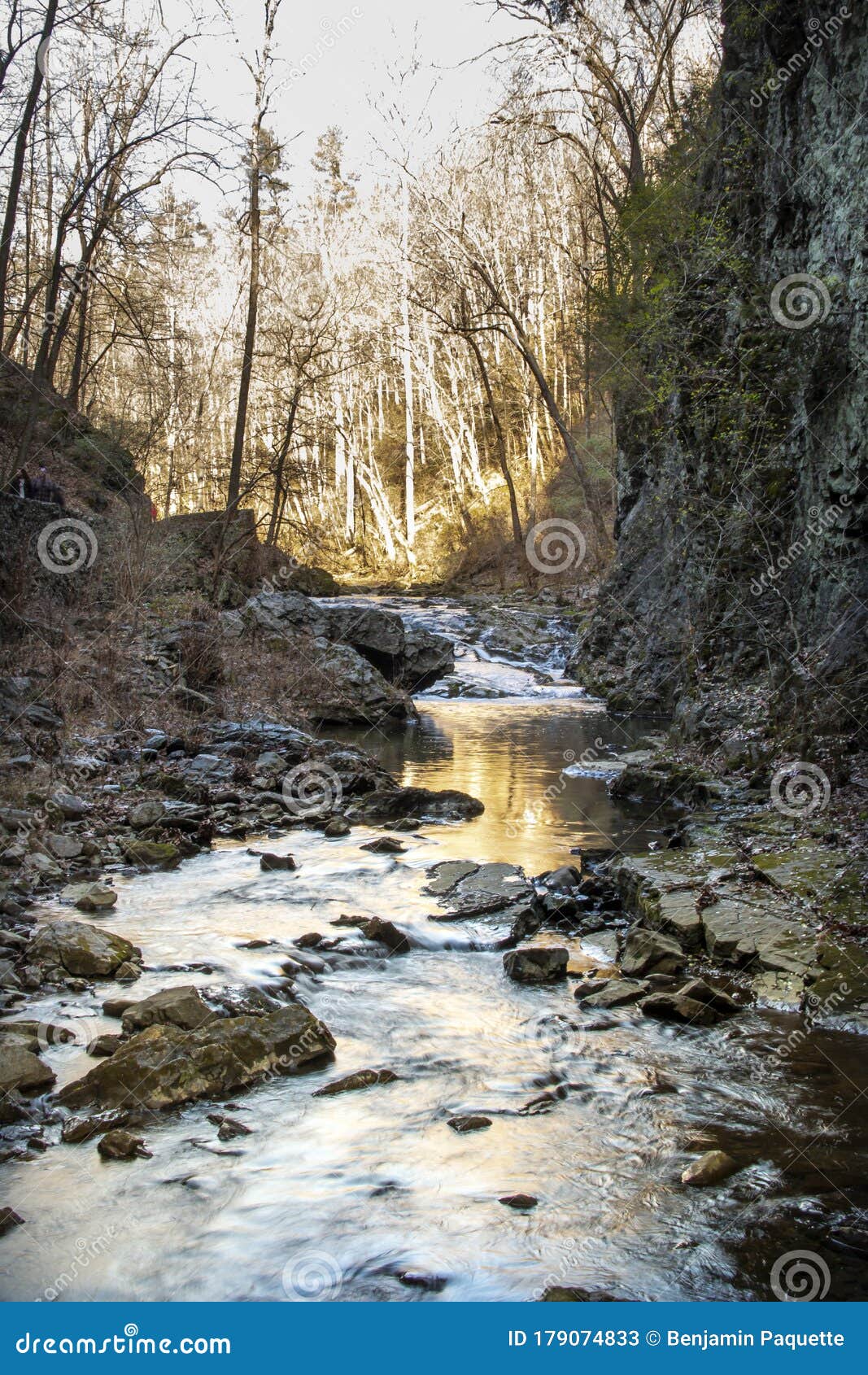 Flowing River with Rocks in the Stream Stock Image - Image of trees ...
