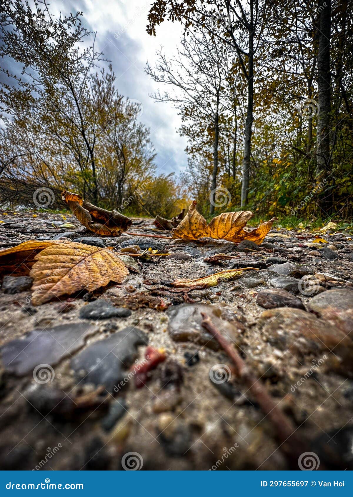 Picture of a Footpath in the Park. Stock Image - Image of magic ...