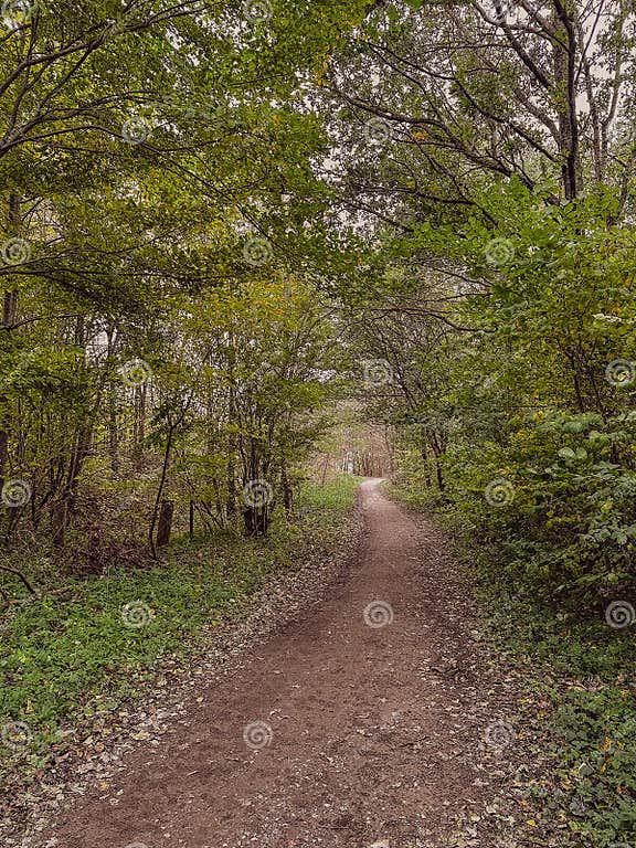 Picture of a Footpath in the Park. Stock Photo - Image of scenic ...