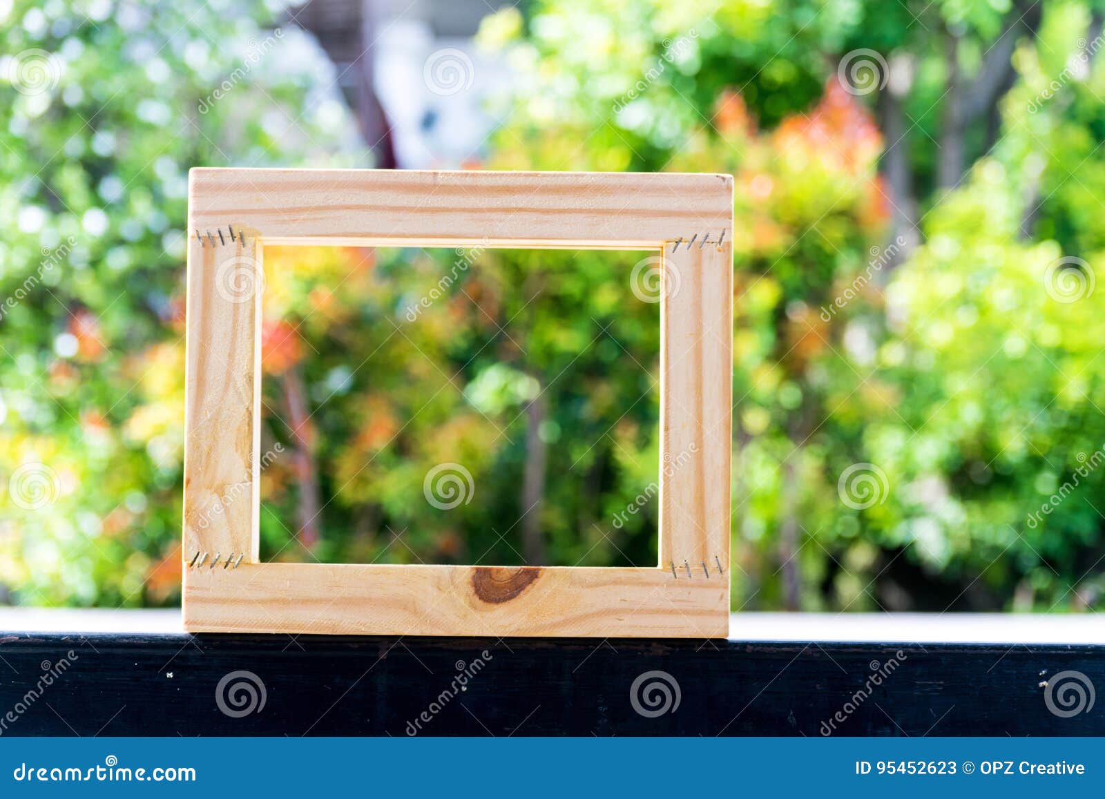 Picture Frame on Blurred Tree Backgroud Using Wallpaper or Background ...