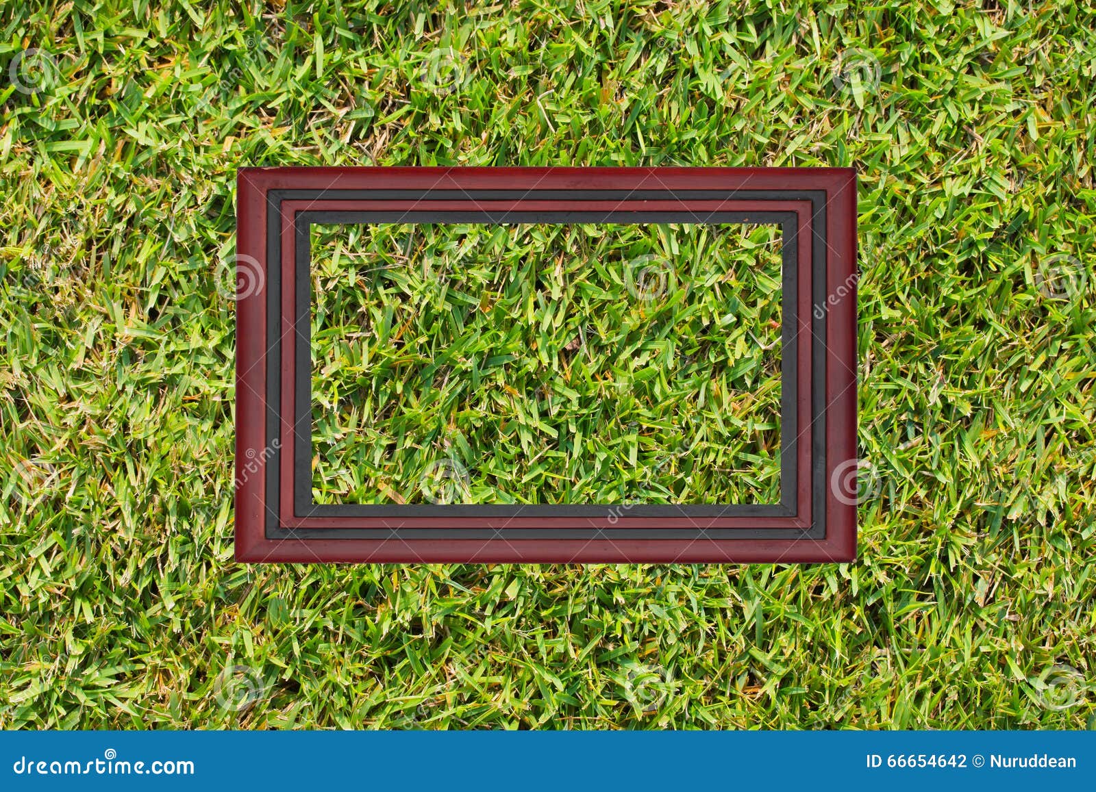 Picture Frame on Green Grass Stock Photo - Image of texture, object ...