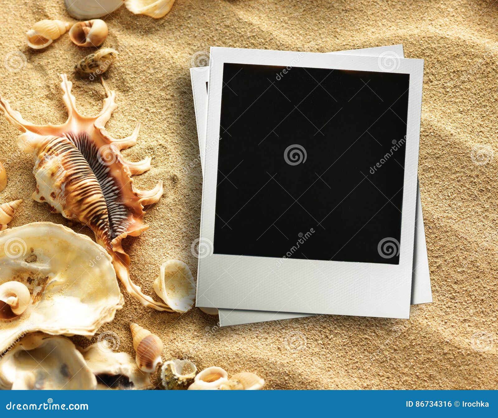 Picture Frame on Shells and Sand Background Stock Photo - Image of ...