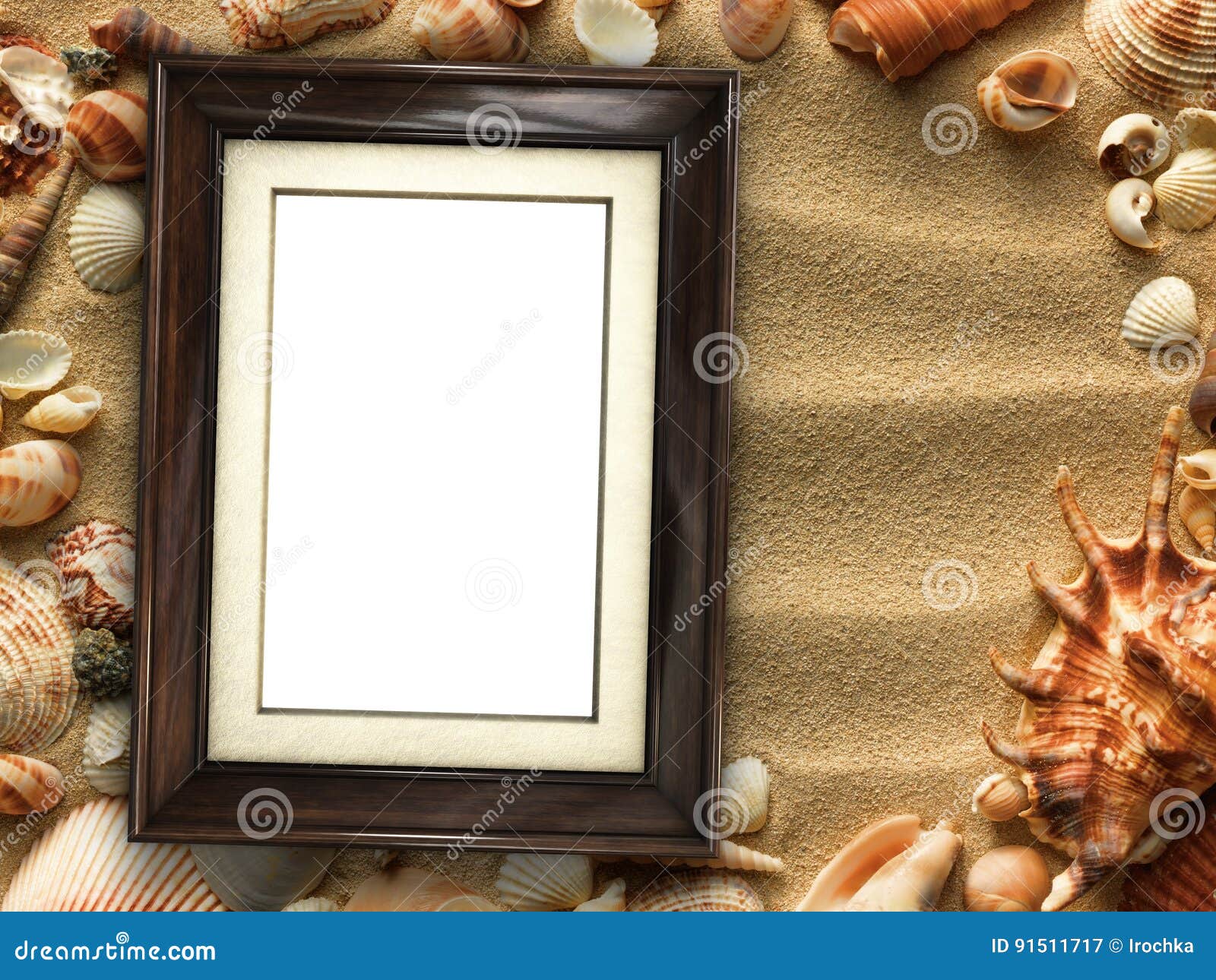 Picture Frame on Shells and Sand Background Stock Image - Image of ...