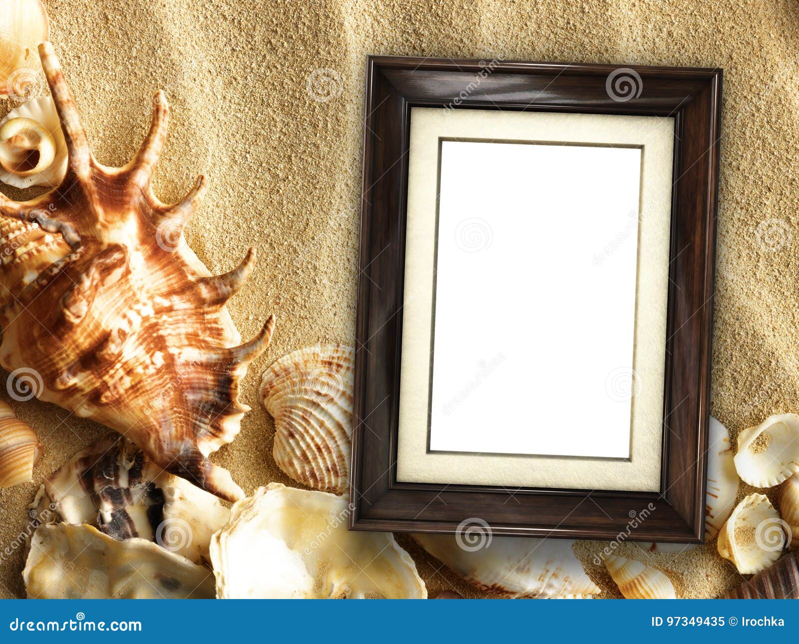 Picture Frame on Shells and Sand Background Stock Image - Image of ...
