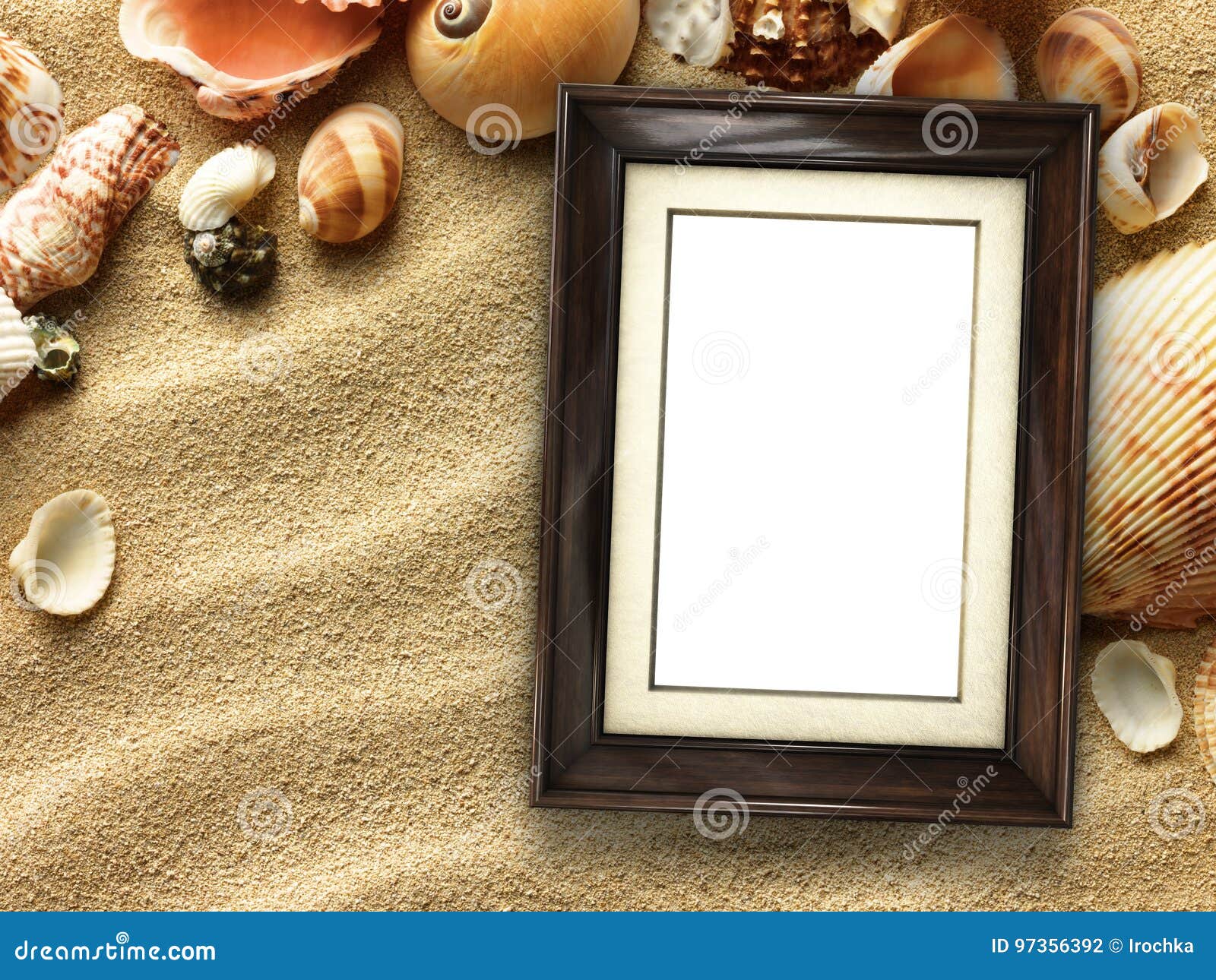 Picture Frame on Shells and Sand Background Stock Photo - Image of ...