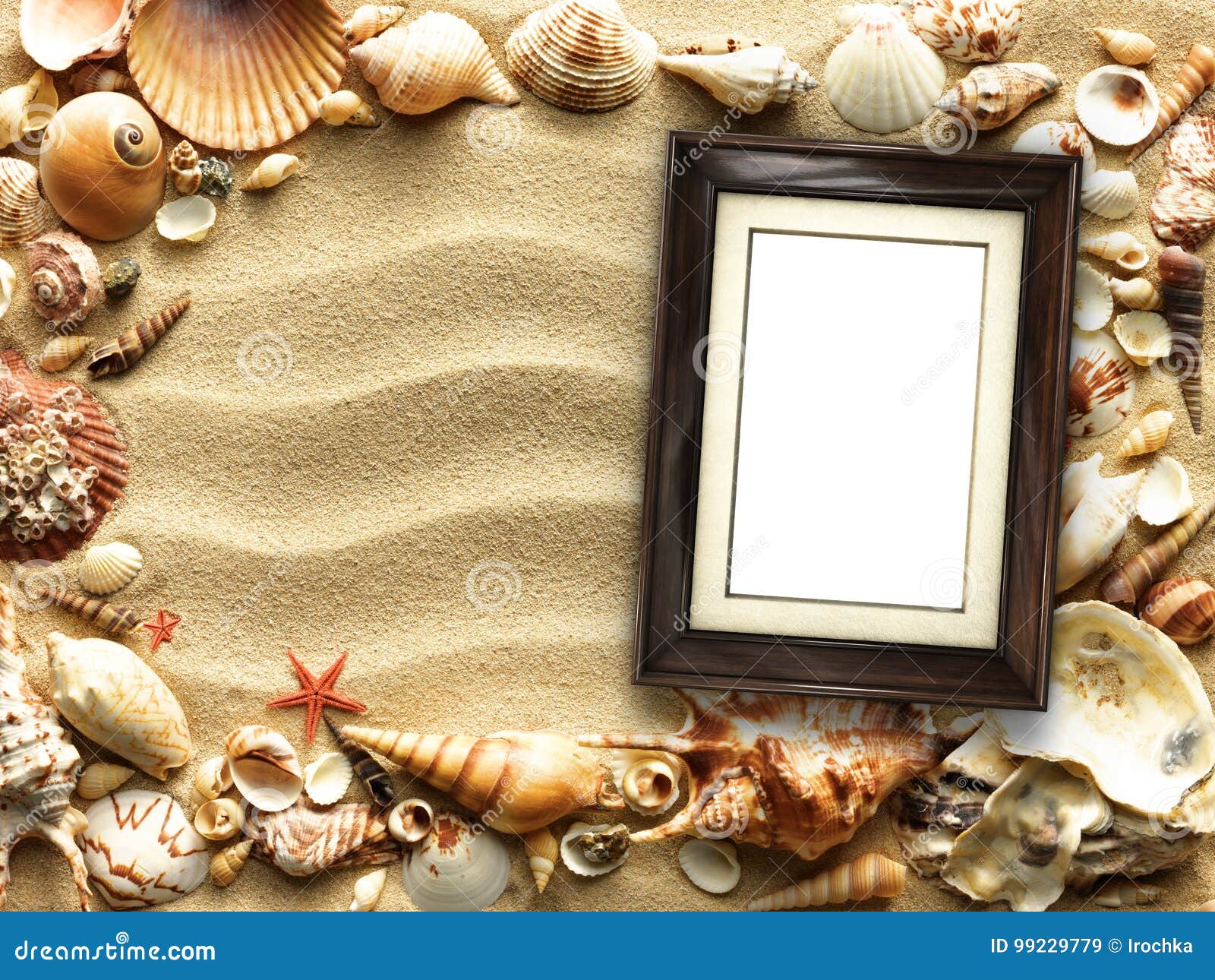 Picture Frame on Shells and Sand Background Stock Image - Image of ...