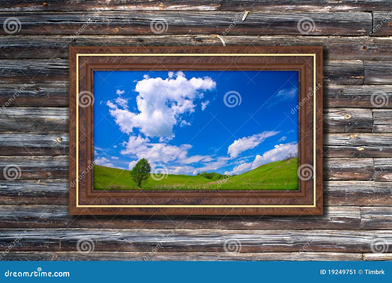 Picture frame to nature stock image. Image of contemporary - 19249751