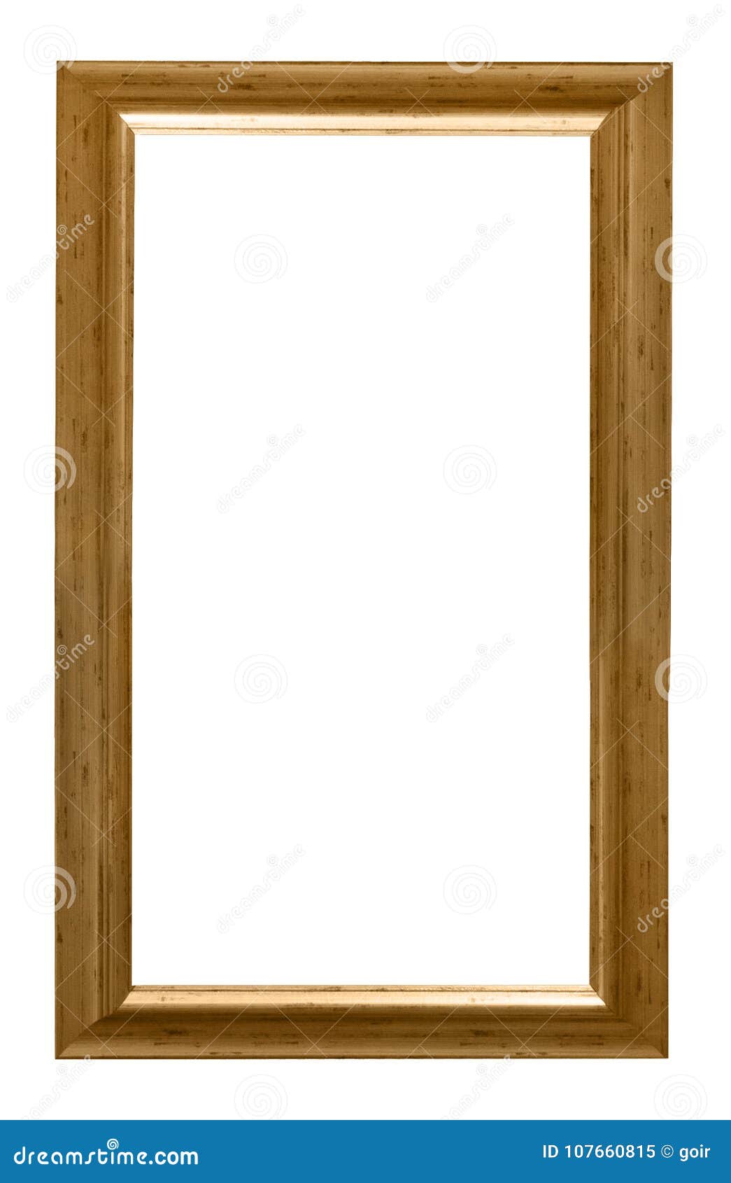 Tall picture frame stock image. Image of background - 107660815