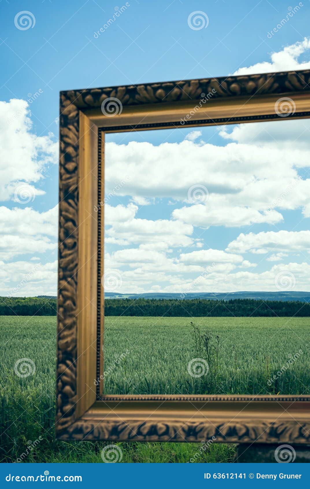 Picture Frames in Nature II Stock Image - Image of brown, showing: 63612141