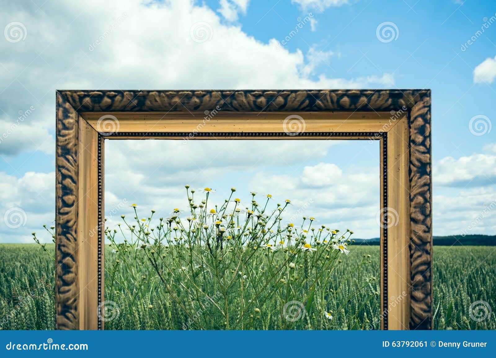 Picture Frames in Nature III Stock Image - Image of wood, border: 63792061