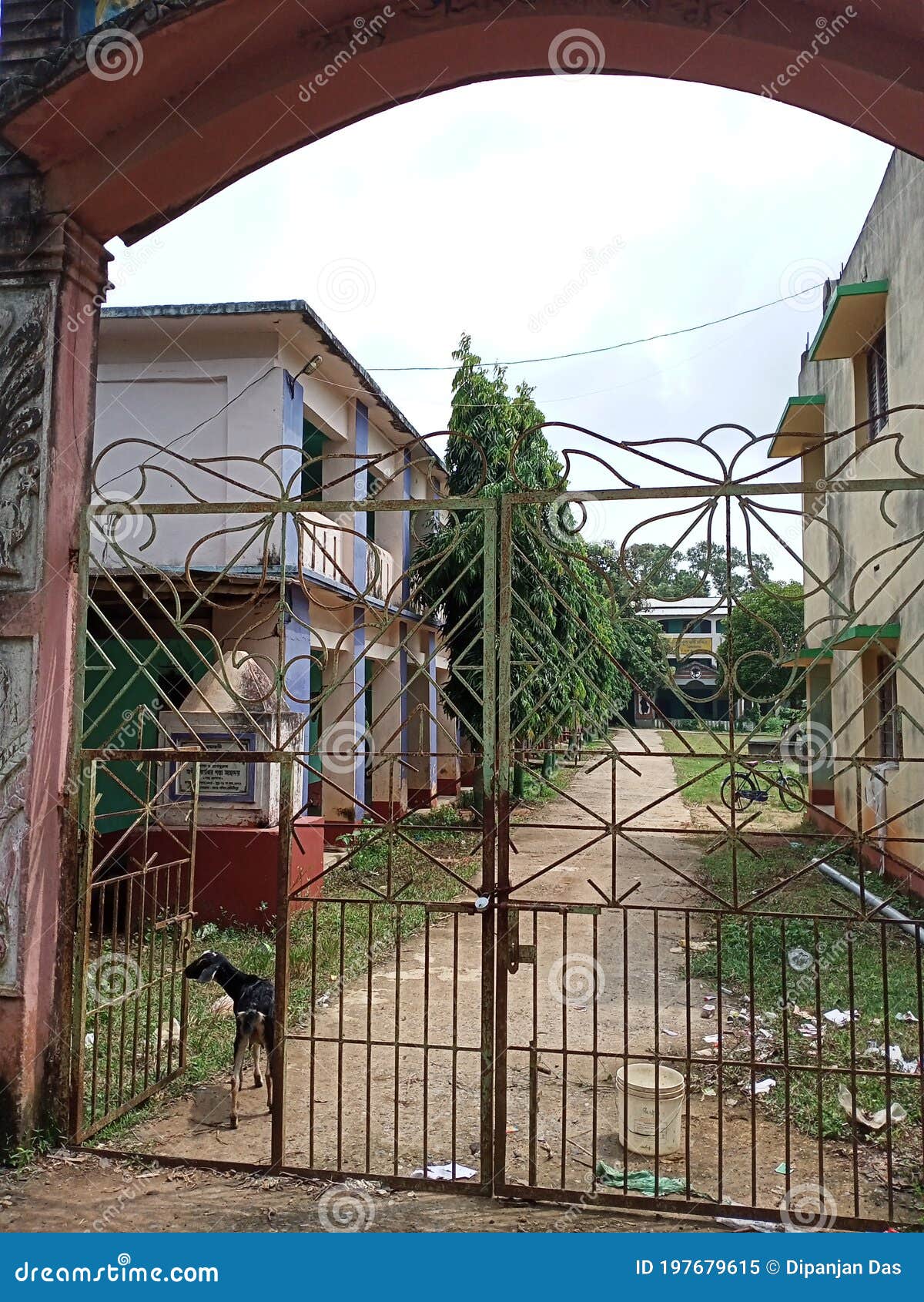 A Picture in Front of a School Gate Stock Image - Image of cough, life ...