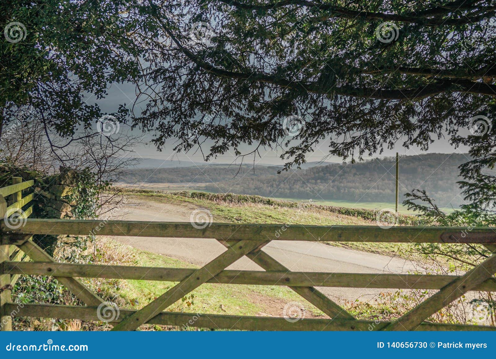 Walk around arnside knott stock photo. Image of forest - 140656730