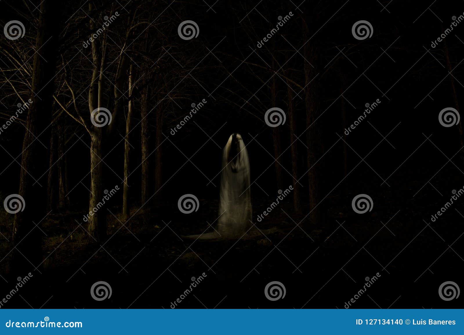 Ghost in the dark forest stock photo. Image of dark - 127134140