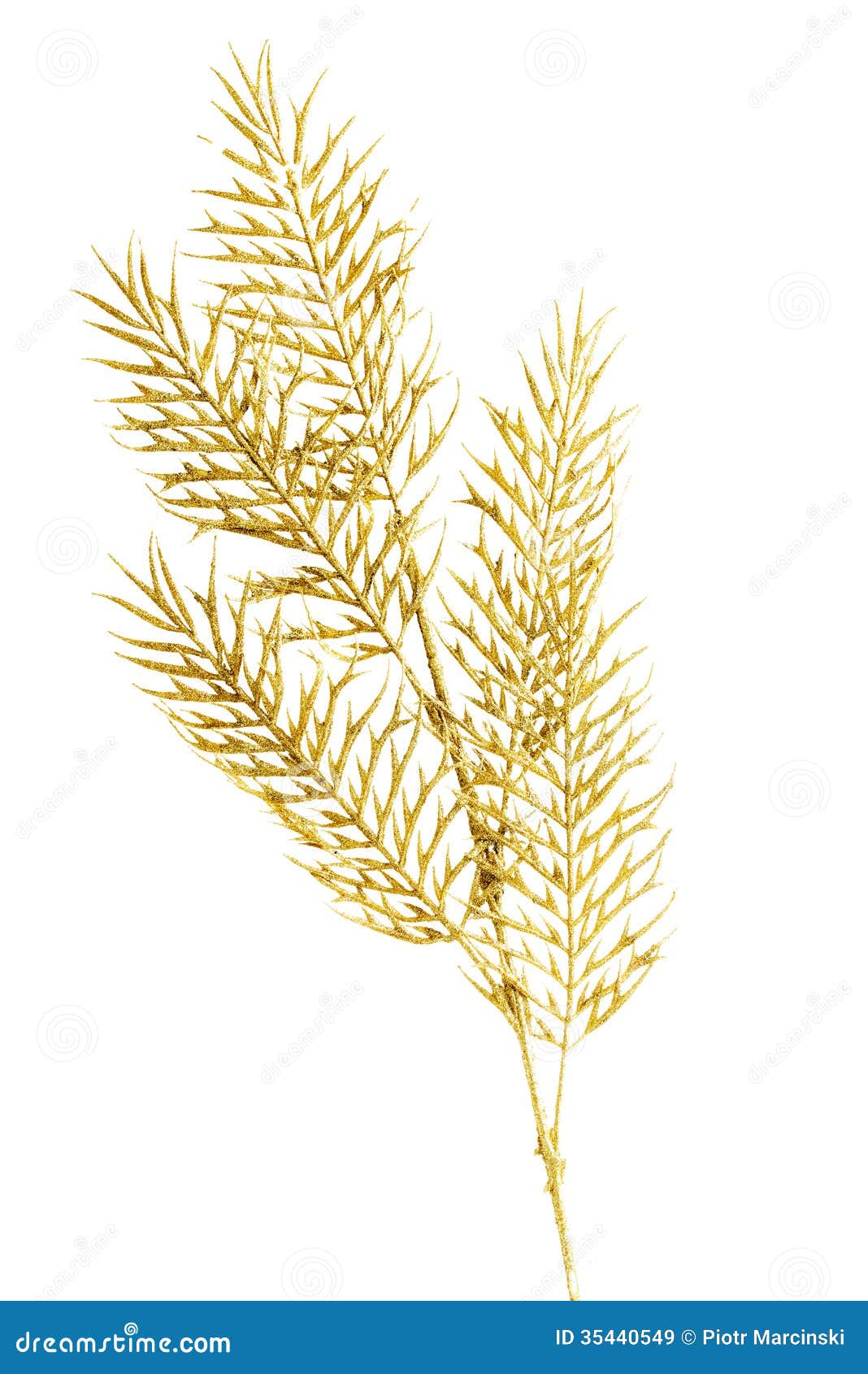 Picture of a Gold Separate Twig. Stock Image - Image of harvest ...
