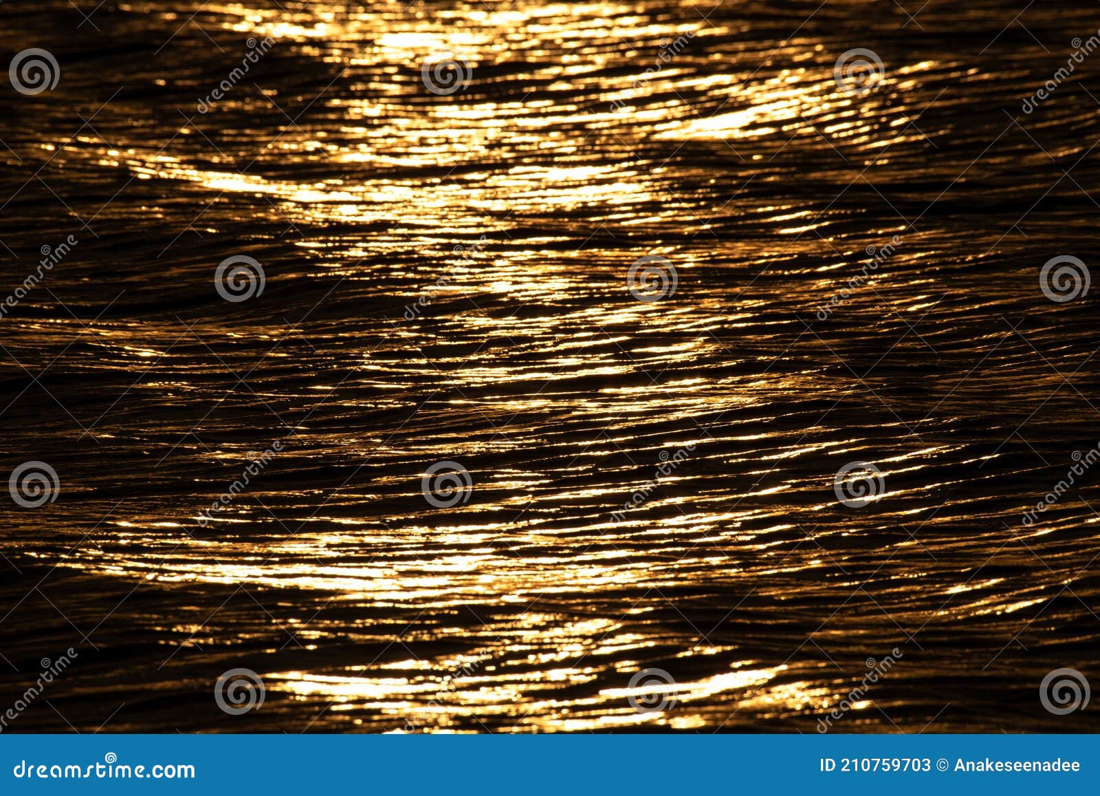 The Picture of the Golden Sea Water Surface Reflecting the Sunlight ...