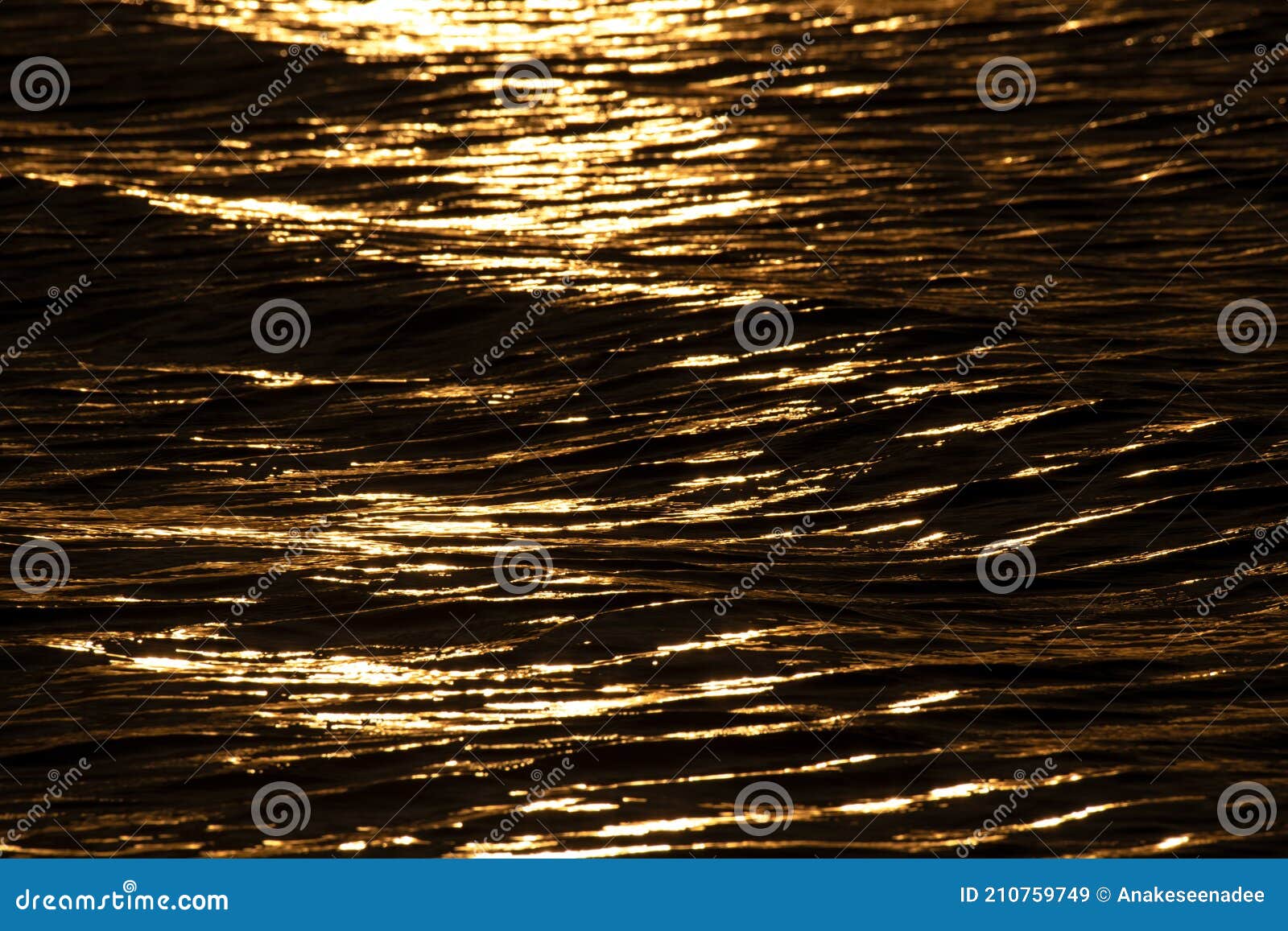 The Picture of the Golden Sea Water Surface Reflecting the Sunlight ...