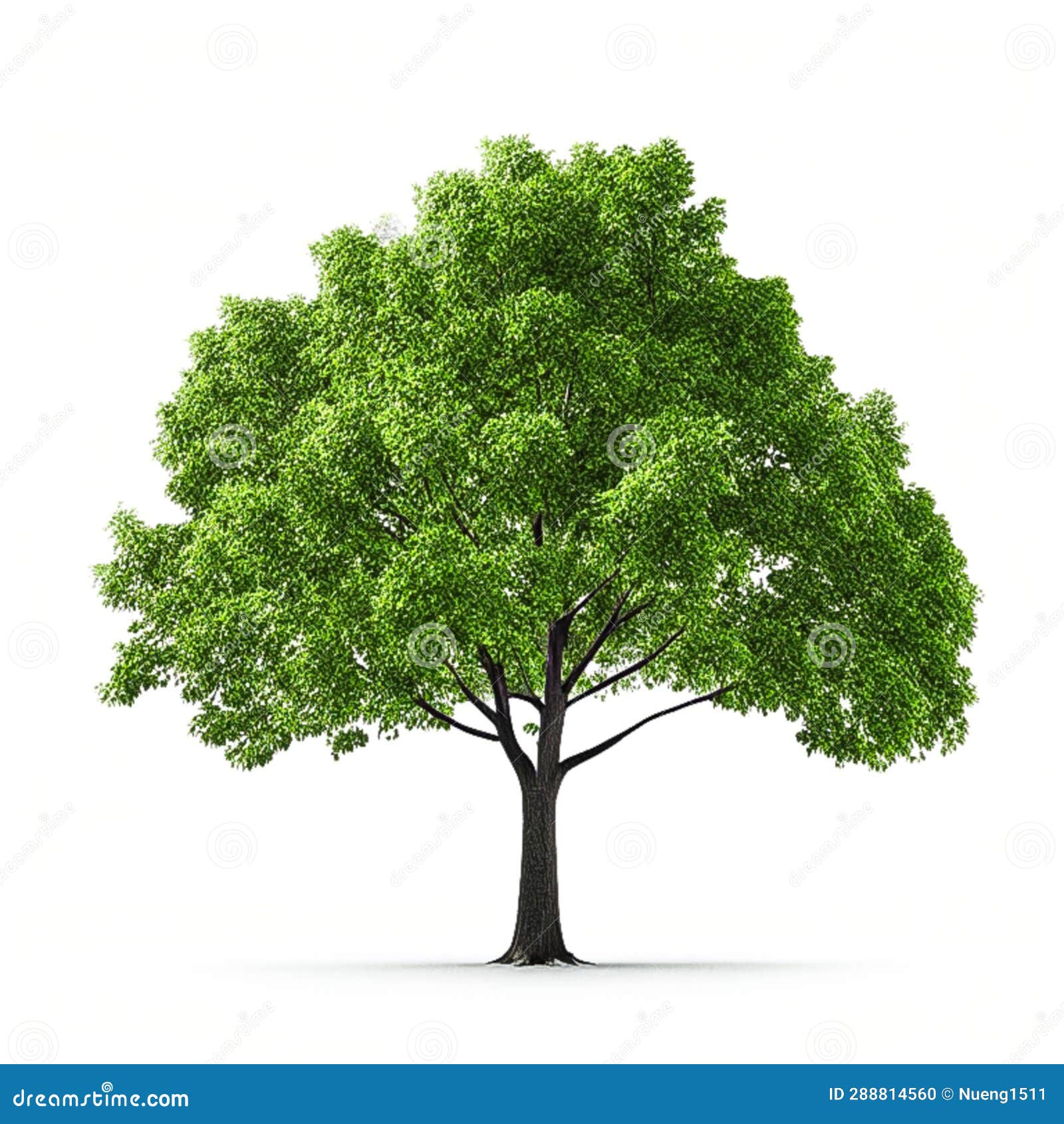 Green Tree on White Background Stock Illustration - Illustration of ...