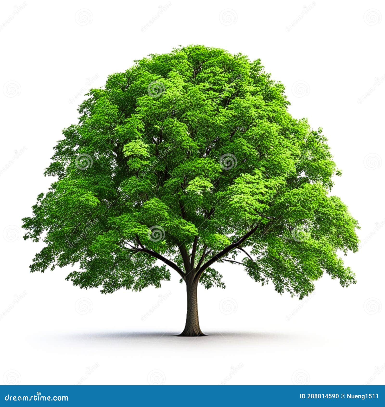 Green Tree on White Background Stock Illustration - Illustration of ...