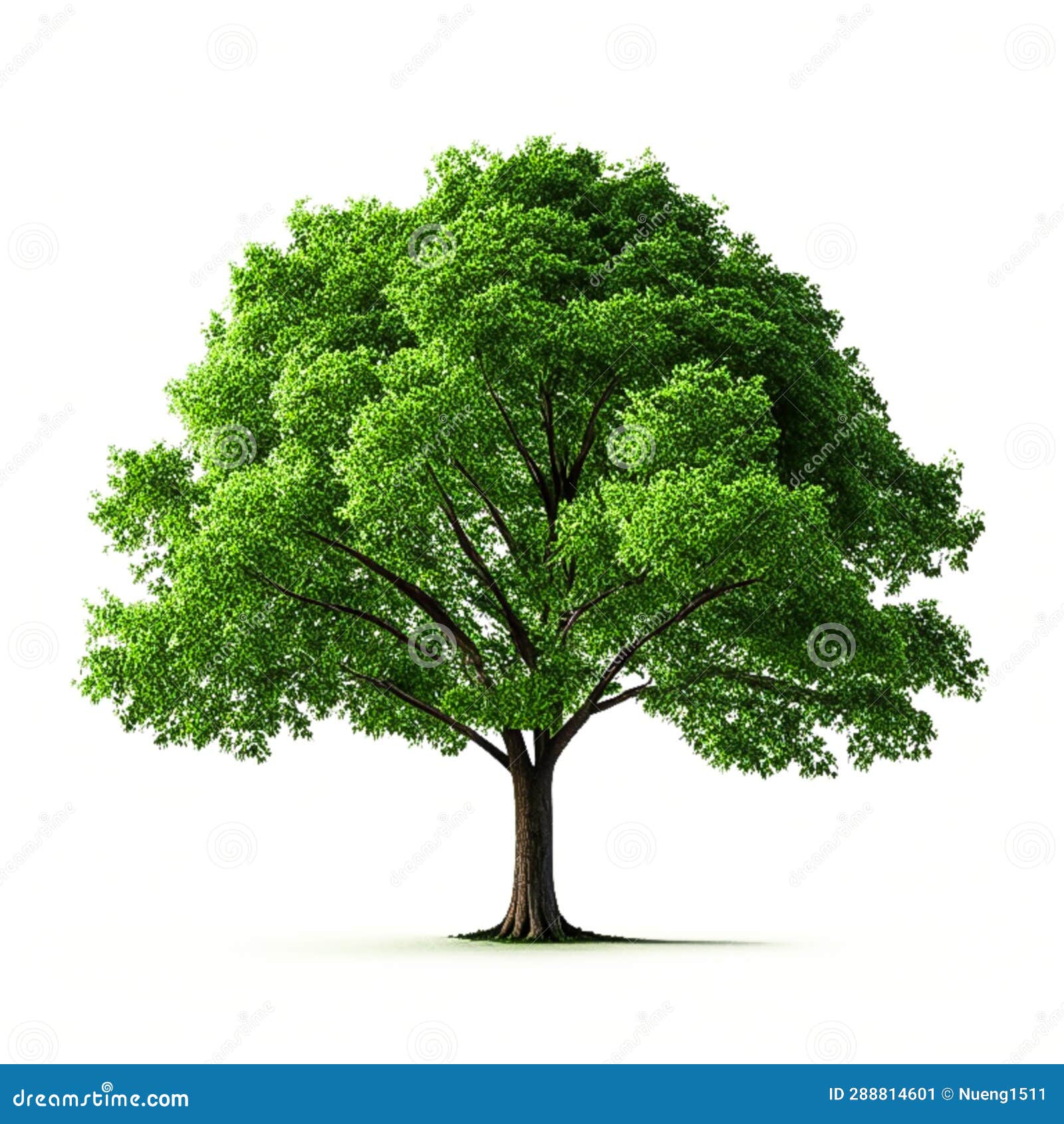 Green Tree on White Background Stock Illustration - Illustration of ...
