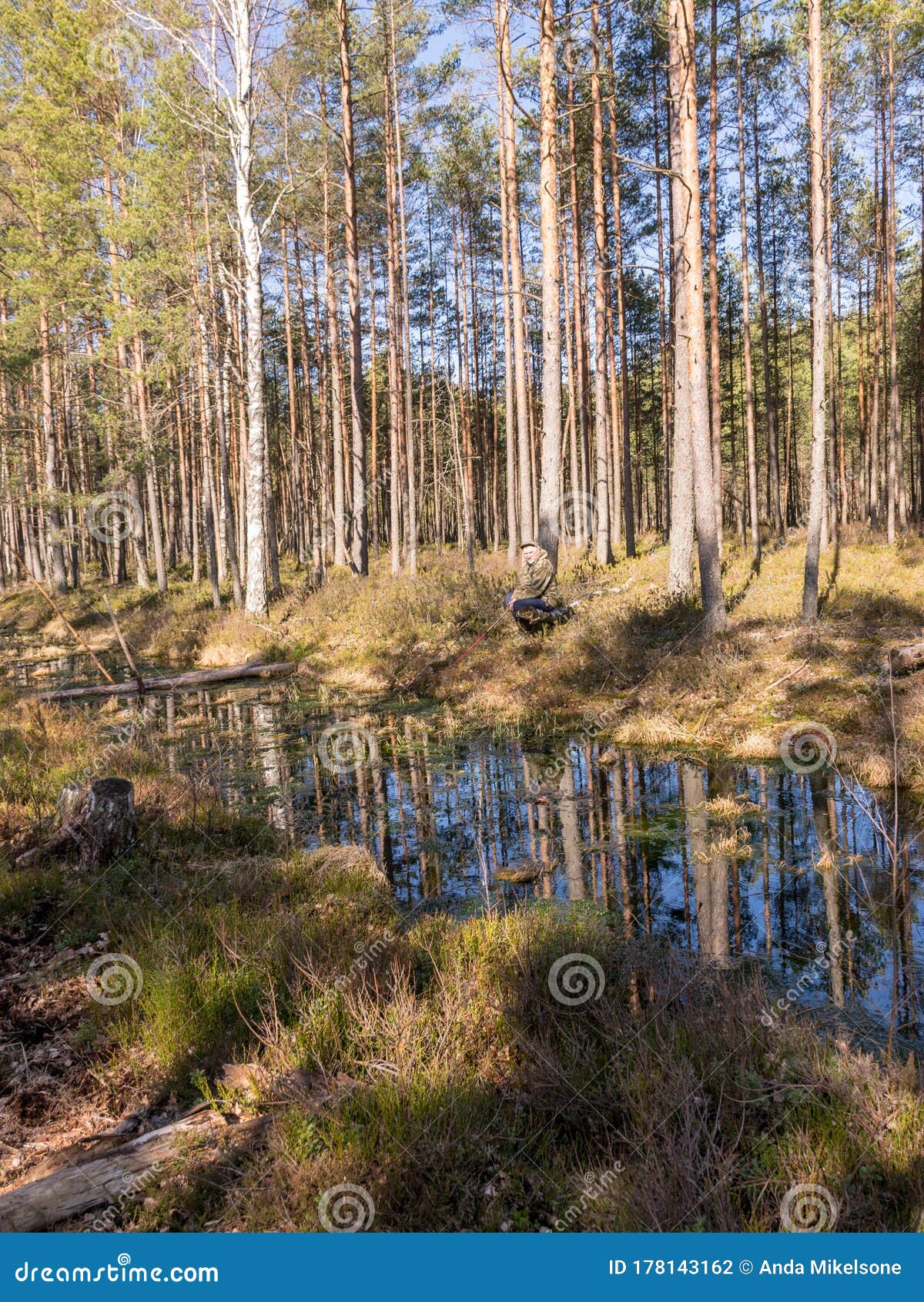 Picture of a Human Figure in a Swamp Stock Photo - Image of nature ...