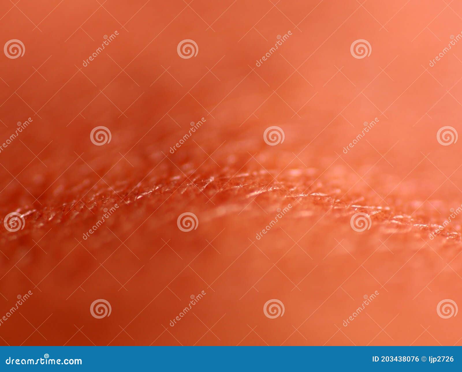 Close Up Shot of Human Skin Surface Stock Photo - Image of closeup ...