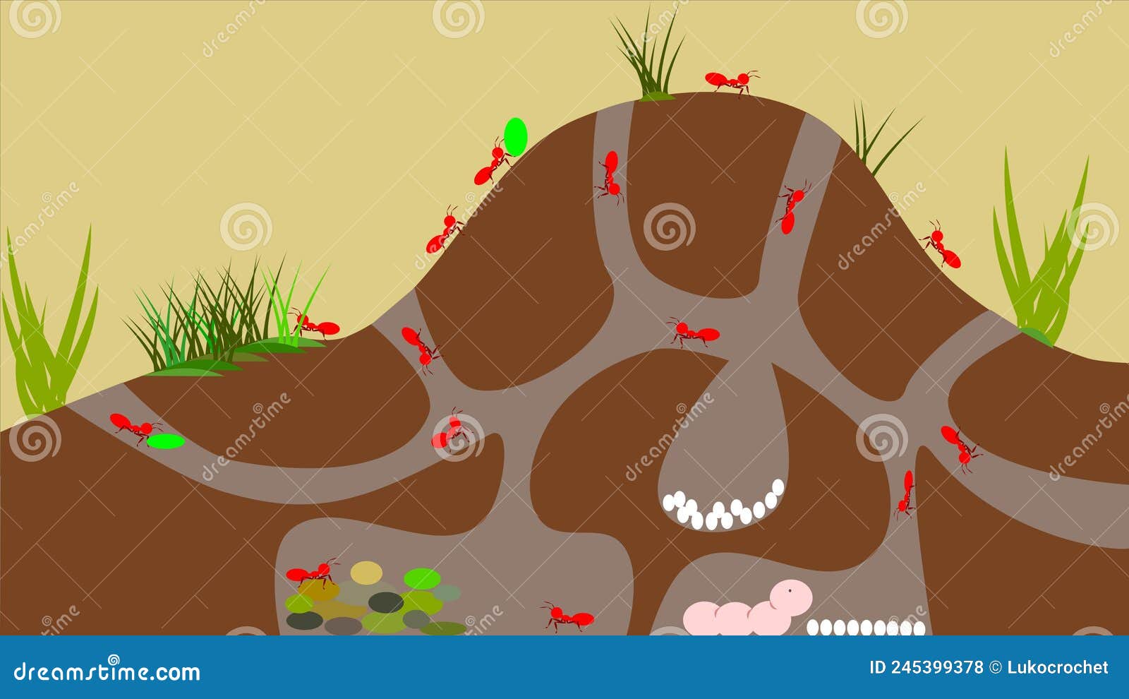 Ants in their anthill stock vector. Illustration of workers - 245399378