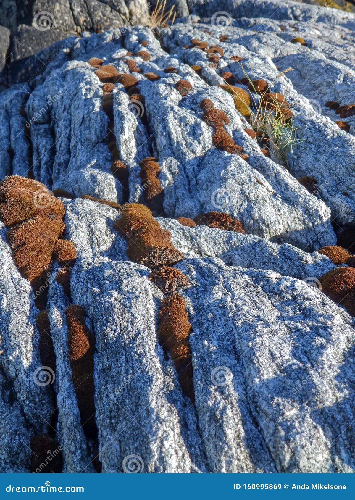 Picture With An Interesting Stone Texture Stock Photo | CartoonDealer ...