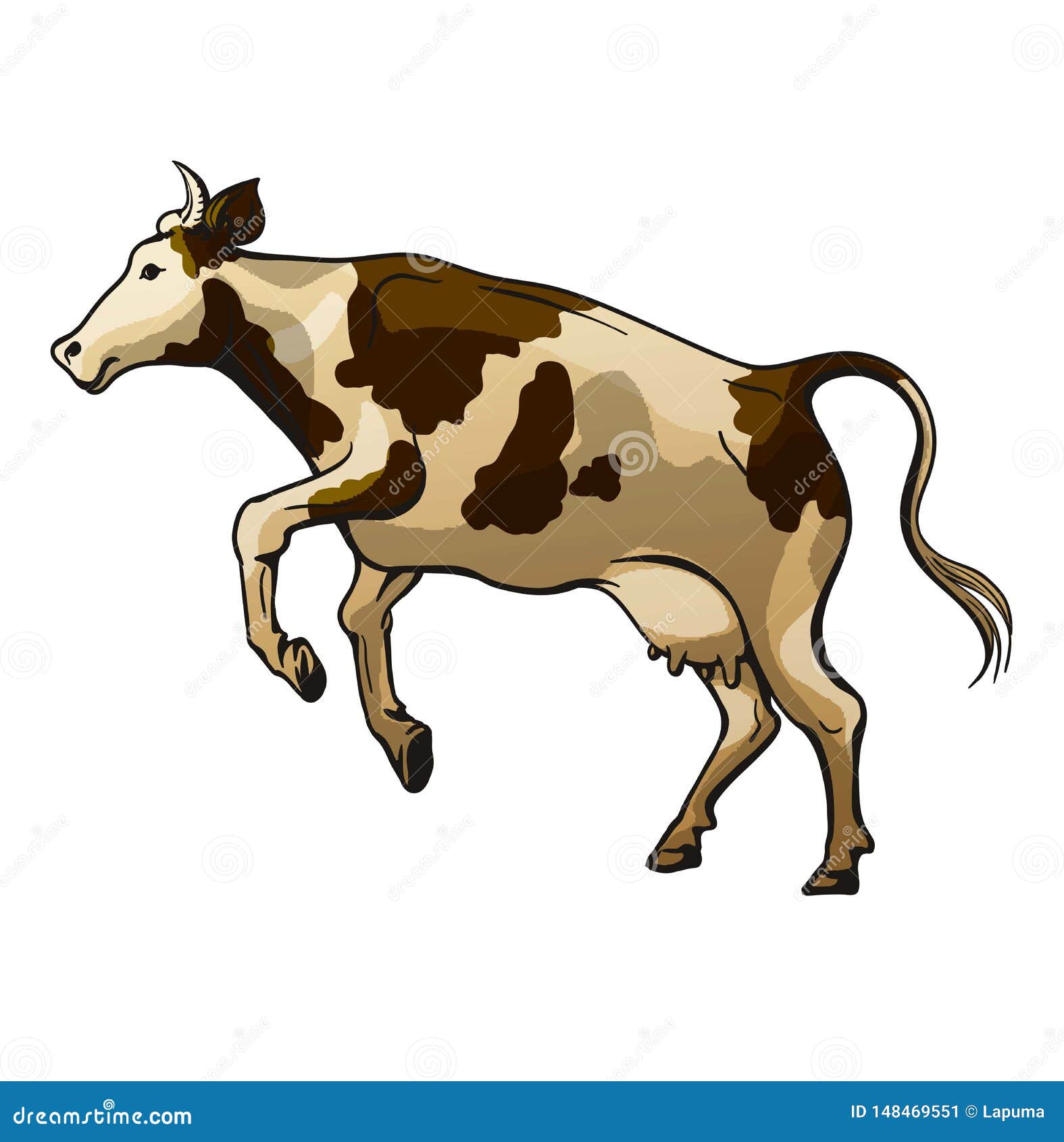Picture of a Jumping Cow on a White Background Stock Vector ...
