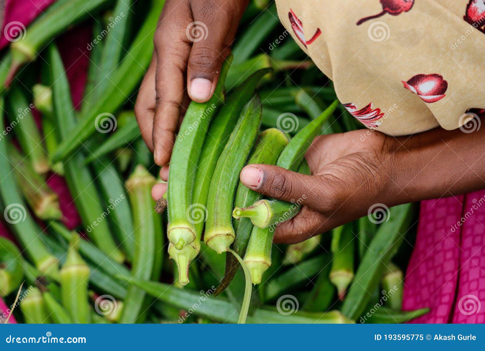 A Picture of Lady Finger Stock Image Stock Image - Image of leaf, food ...