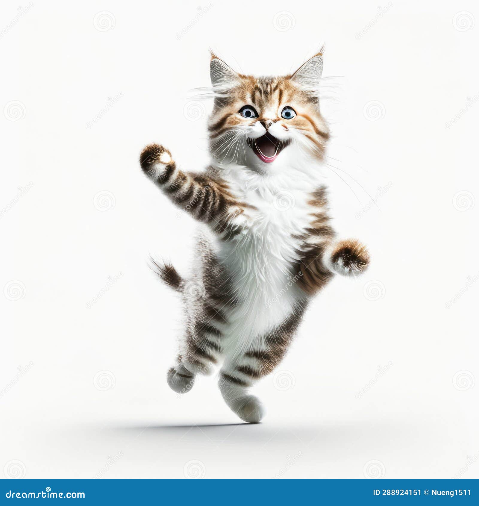 Lovely Happy Cat Dancing on White Background Stock Illustration ...