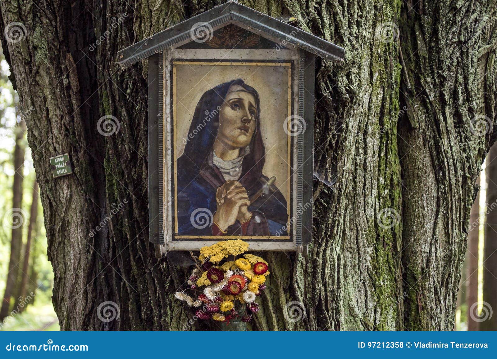 The Picture of Madonna with Flower on Tree in the Forest Stock Photo ...