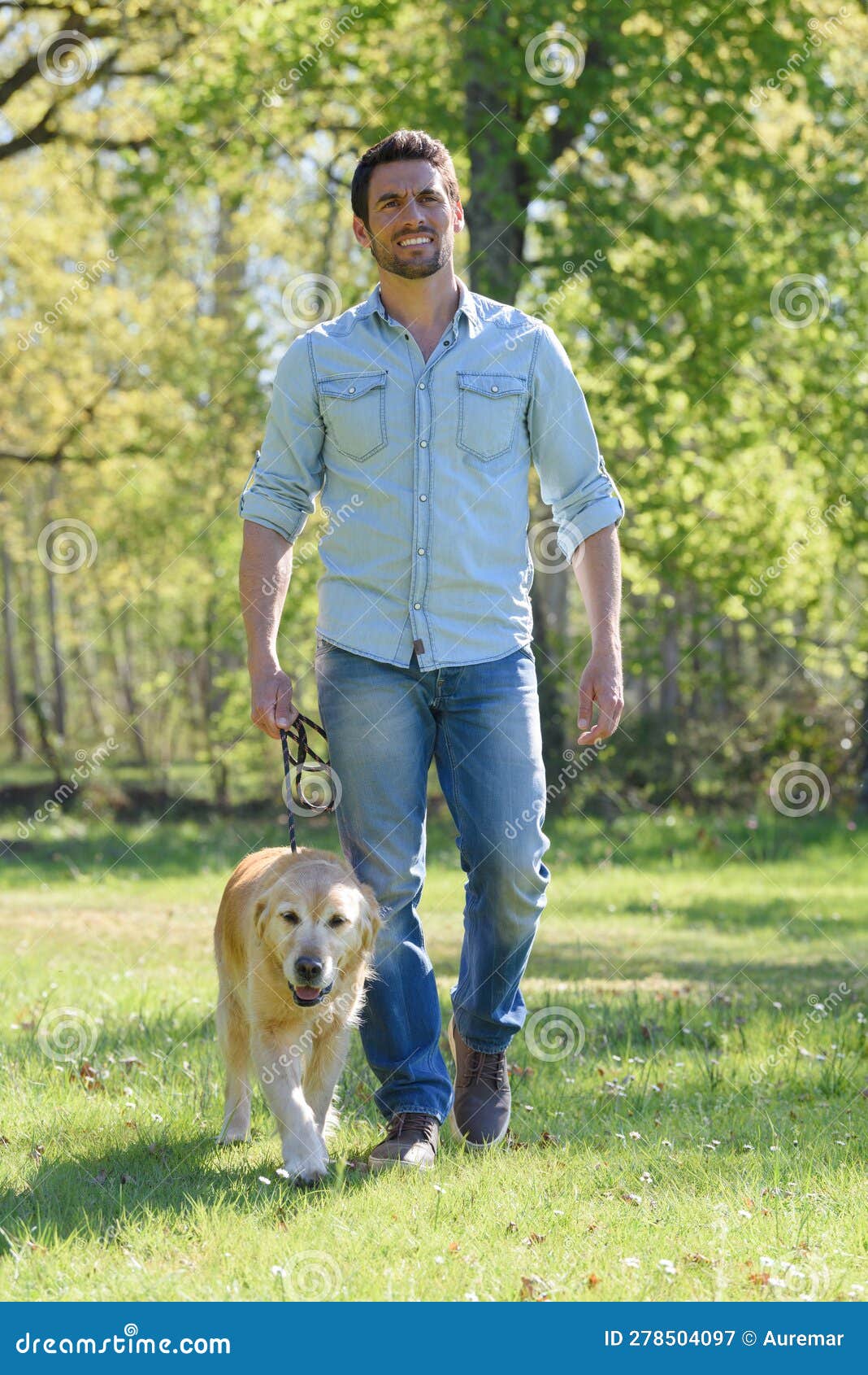 Picture man walking dog stock image. Image of exercise - 278504097