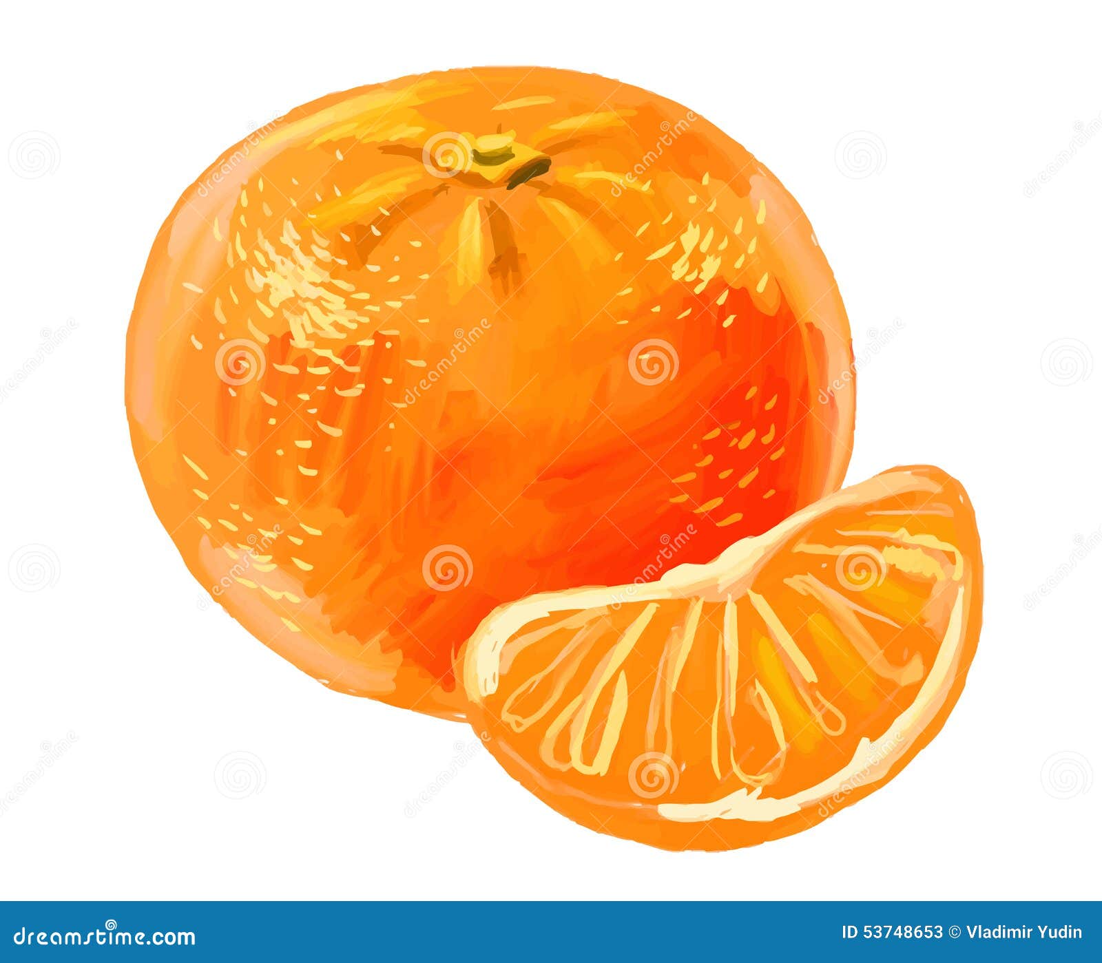 Single Mandarin With Leaves Isolated On White Background. Watercolor ...