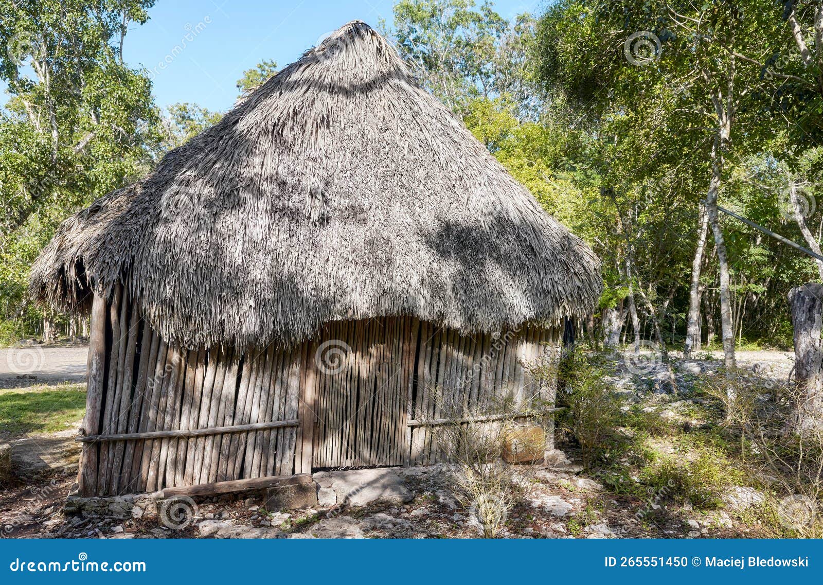 Picture of a Mexican Jungle Mayan Hut Stock Photo - Image of house ...