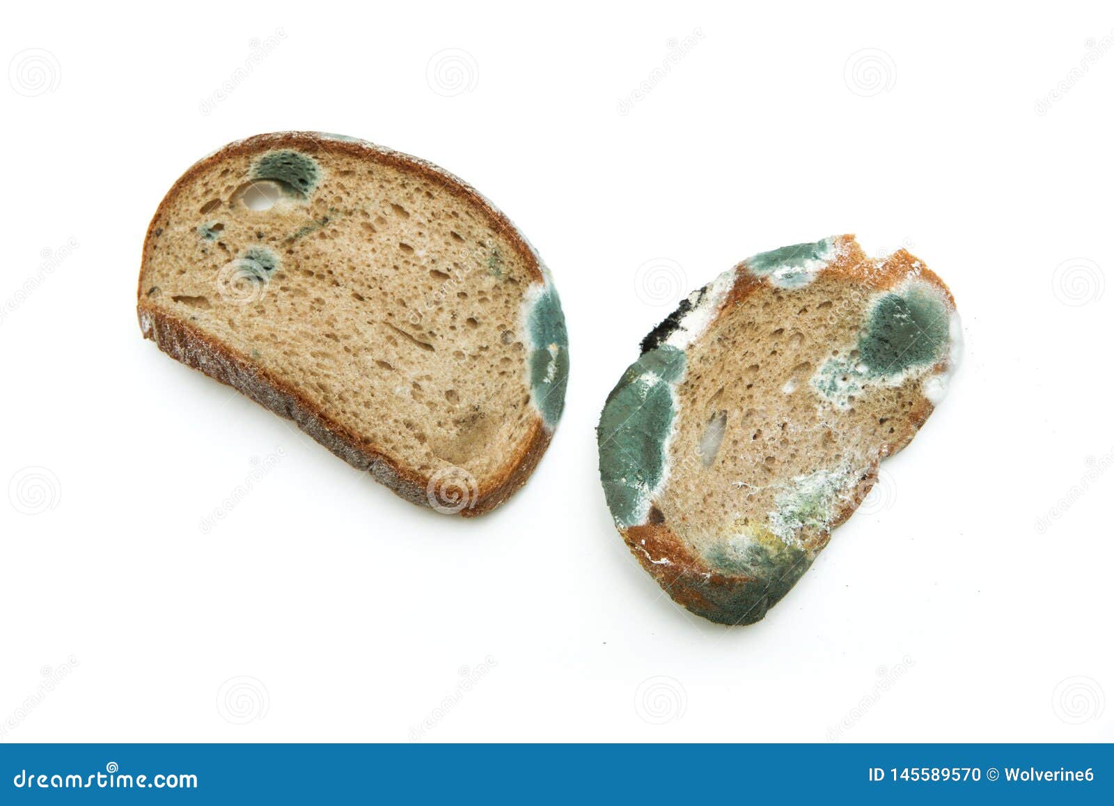 The Picture of a Mouldy Bread Stock Photo - Image of mold, mildewed ...