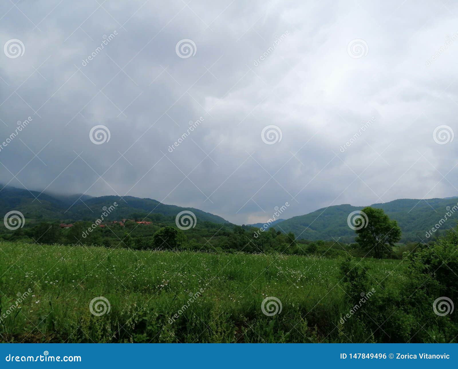 Cloudy sky in spring stock photo. Image of nature, spring - 147849496