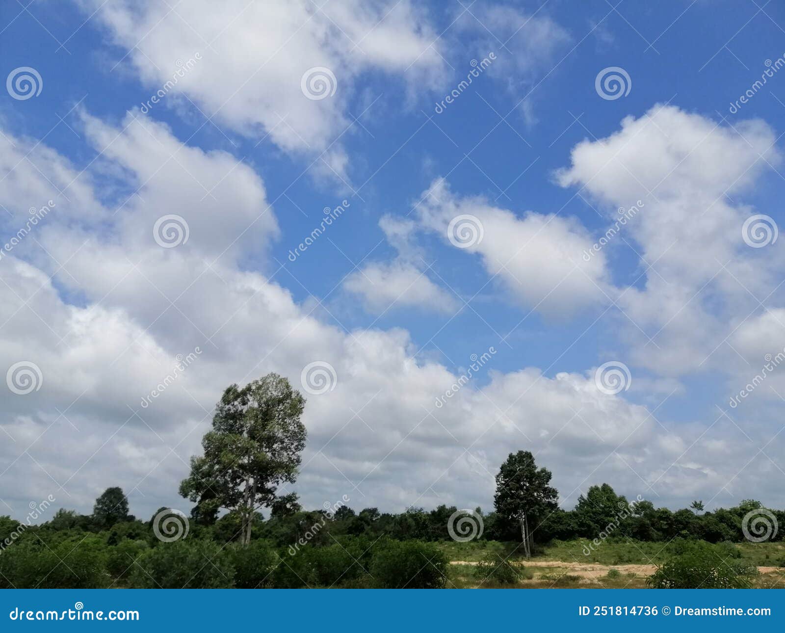 Picture of Nature with Sky and Trees Stock Photo - Image of natrue ...